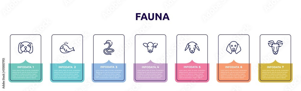 fauna concept infographic design template. included null, big whale ...
