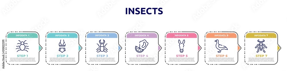 insects concept infographic design template. included flea, bikini ...