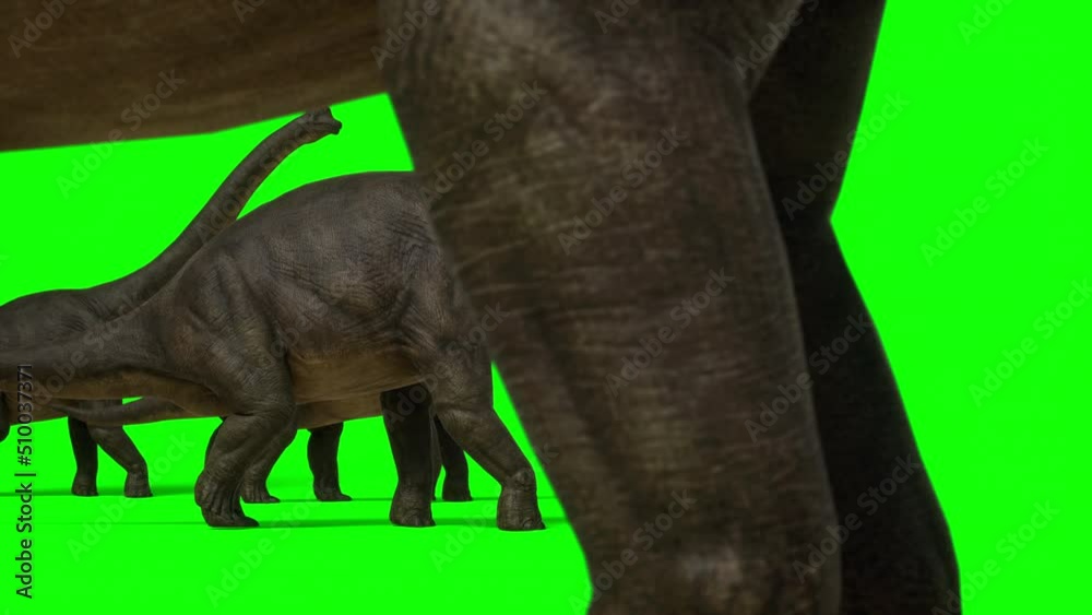 Brachiosaurus, sauropod walking and eating leaves from trees. Green ...