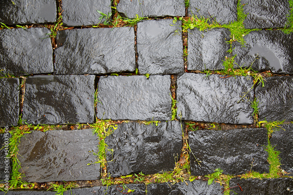 old stone wet paving slab for your background or texture Stock Photo ...