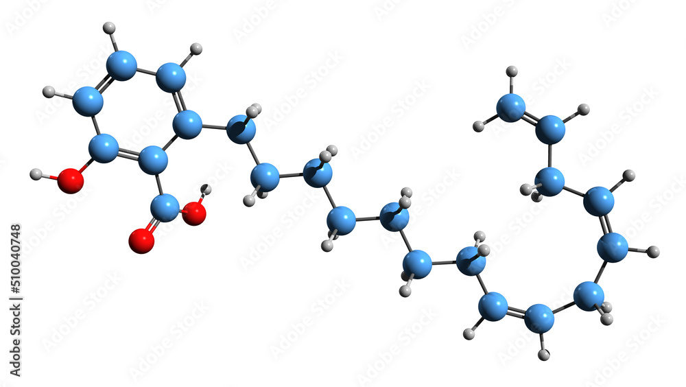 Lipids Structure 3d