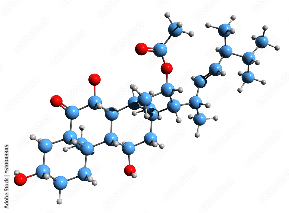 Steroid Structure 3d