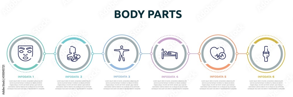 body parts concept infographic design template. included face of a ...
