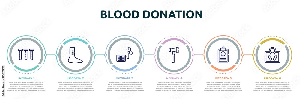 blood donation concept infographic design template. included blood ...