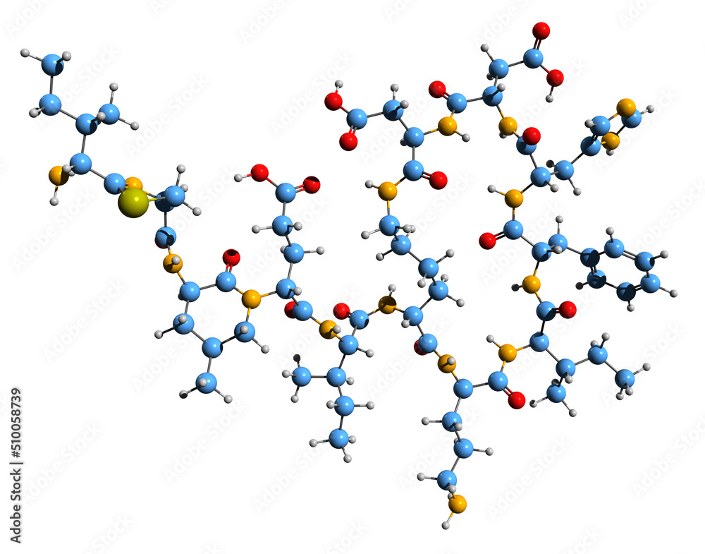 3D image of Bacitracin skeletal formula - molecular chemical structure ...
