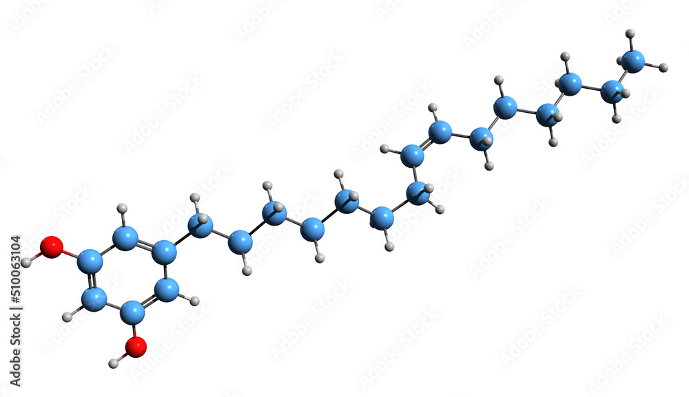 3D image of Bilobol skeletal formula - molecular chemical structure of ...