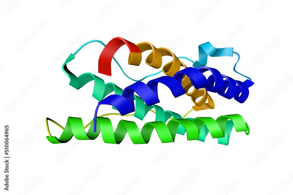 Crystal structure of the human leukemia inhibitory factor (LIF ...
