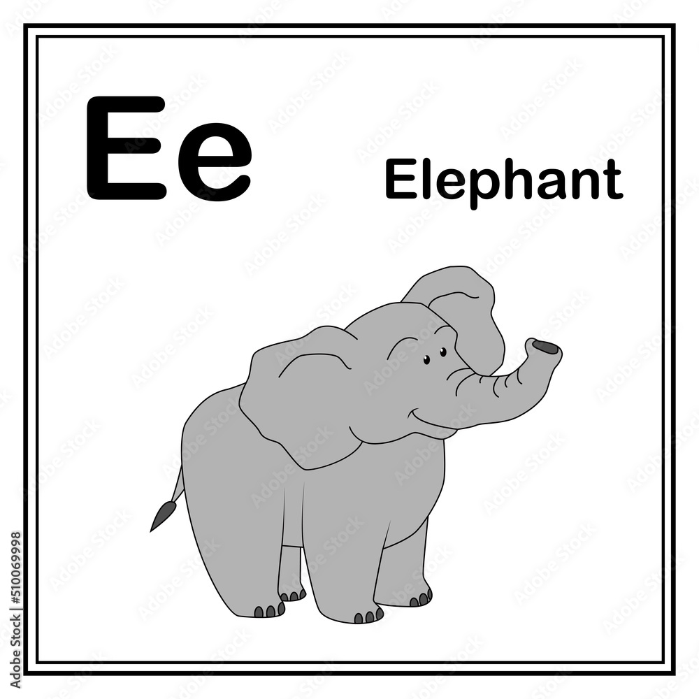Cute children ABC animal alphabet E letter flashcard of Elephant for ...