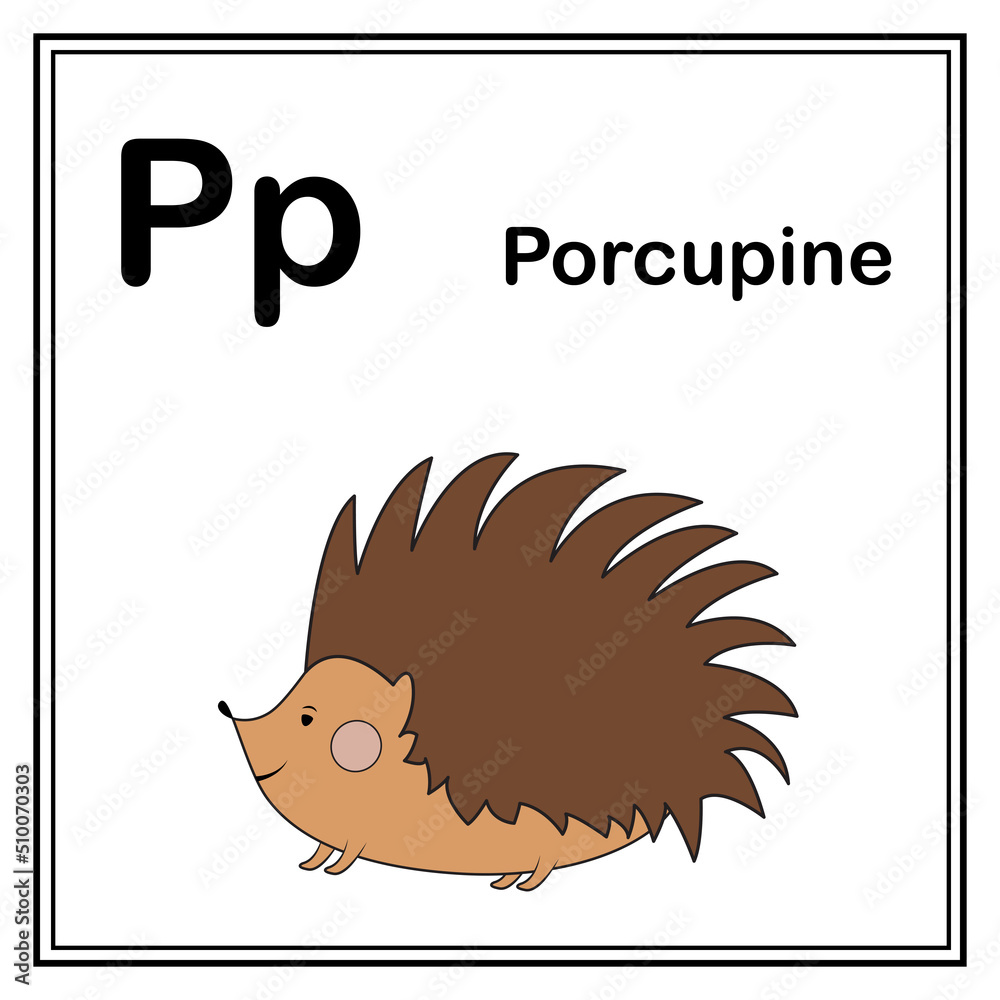 Cute children ABC animal alphabet P letter flashcard of Porcupine for ...