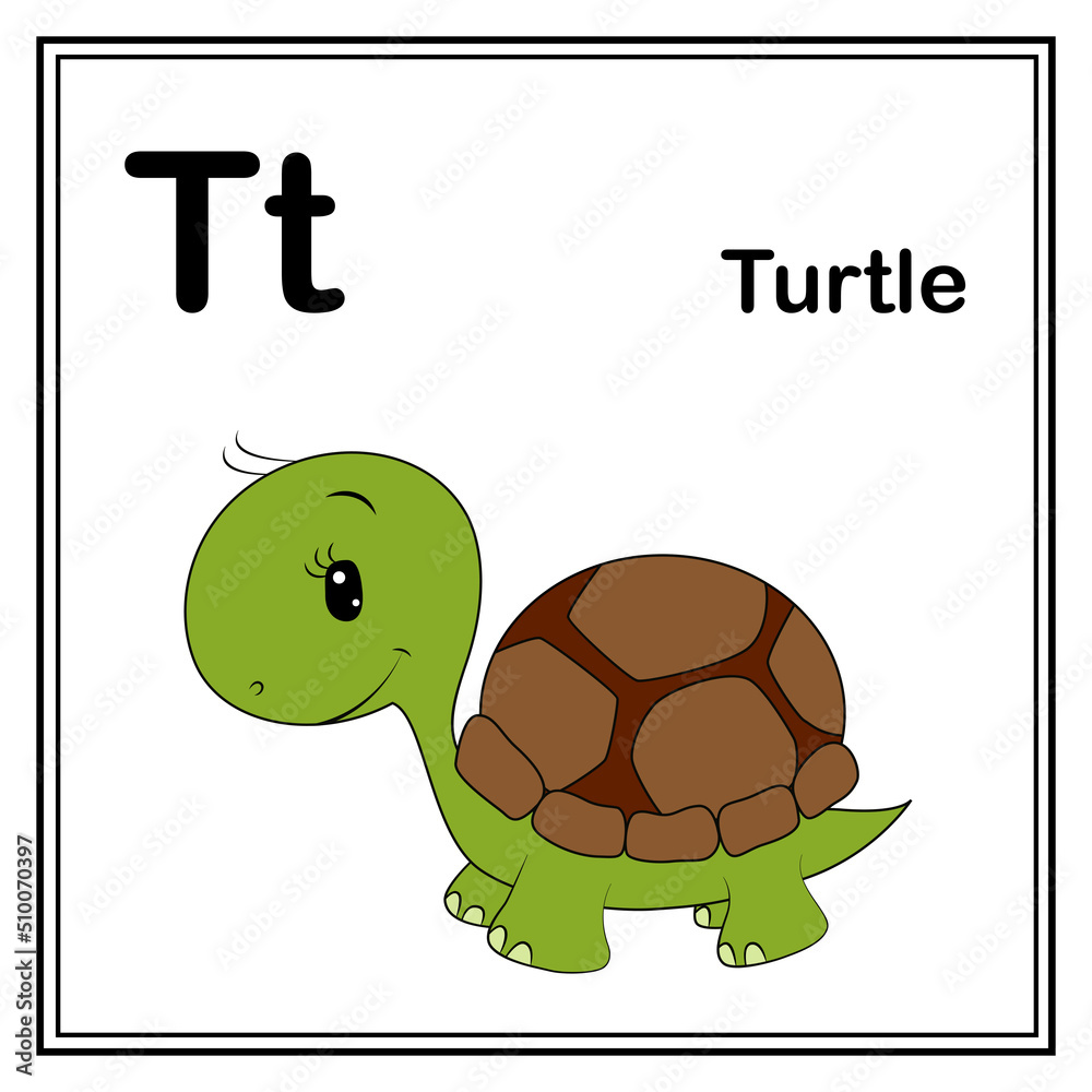 Cute children ABC animal alphabet T letter flashcard of Turtle for kids ...