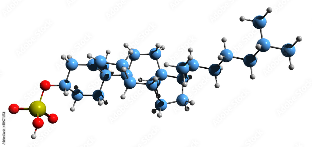 3D image of Cholesterol sulfate skeletal formula - molecular chemical ...