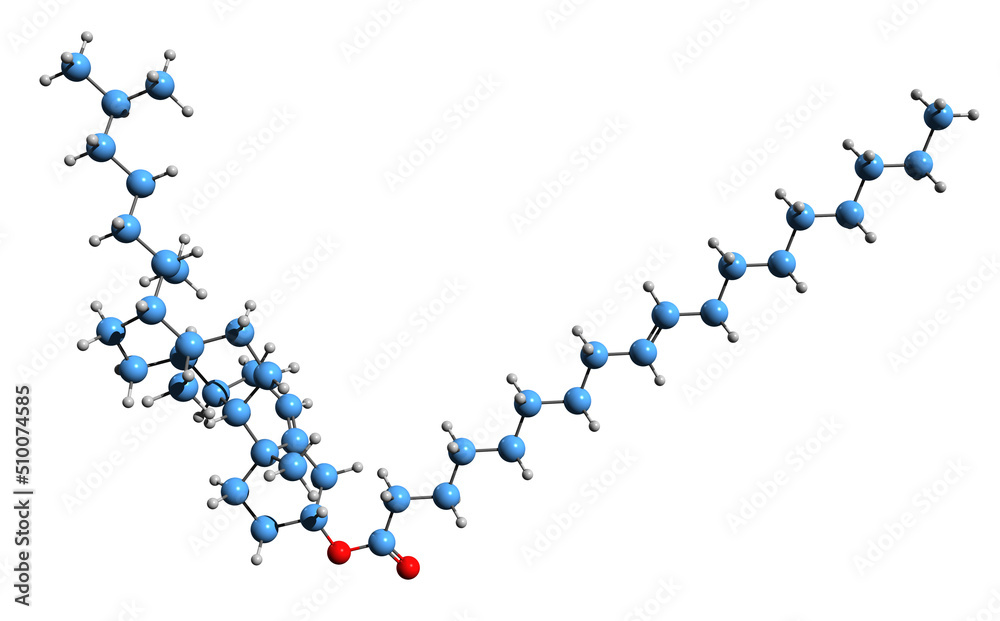 3D image of Cholesteryl ester skeletal formula - molecular chemical ...