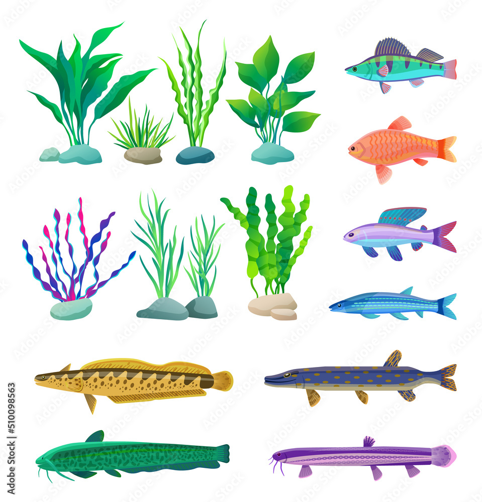 Green and violet, straight and wavy algae type. Different-sized and ...