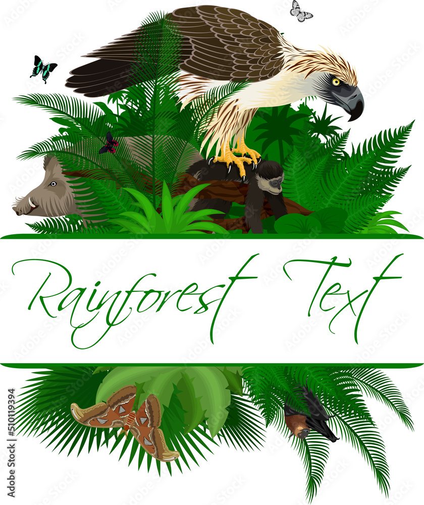 Jungle Rainforest Summer Tropical Leaves Wildlife Vector Design with ...
