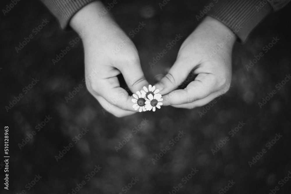 hope Stock Photo | Adobe Stock