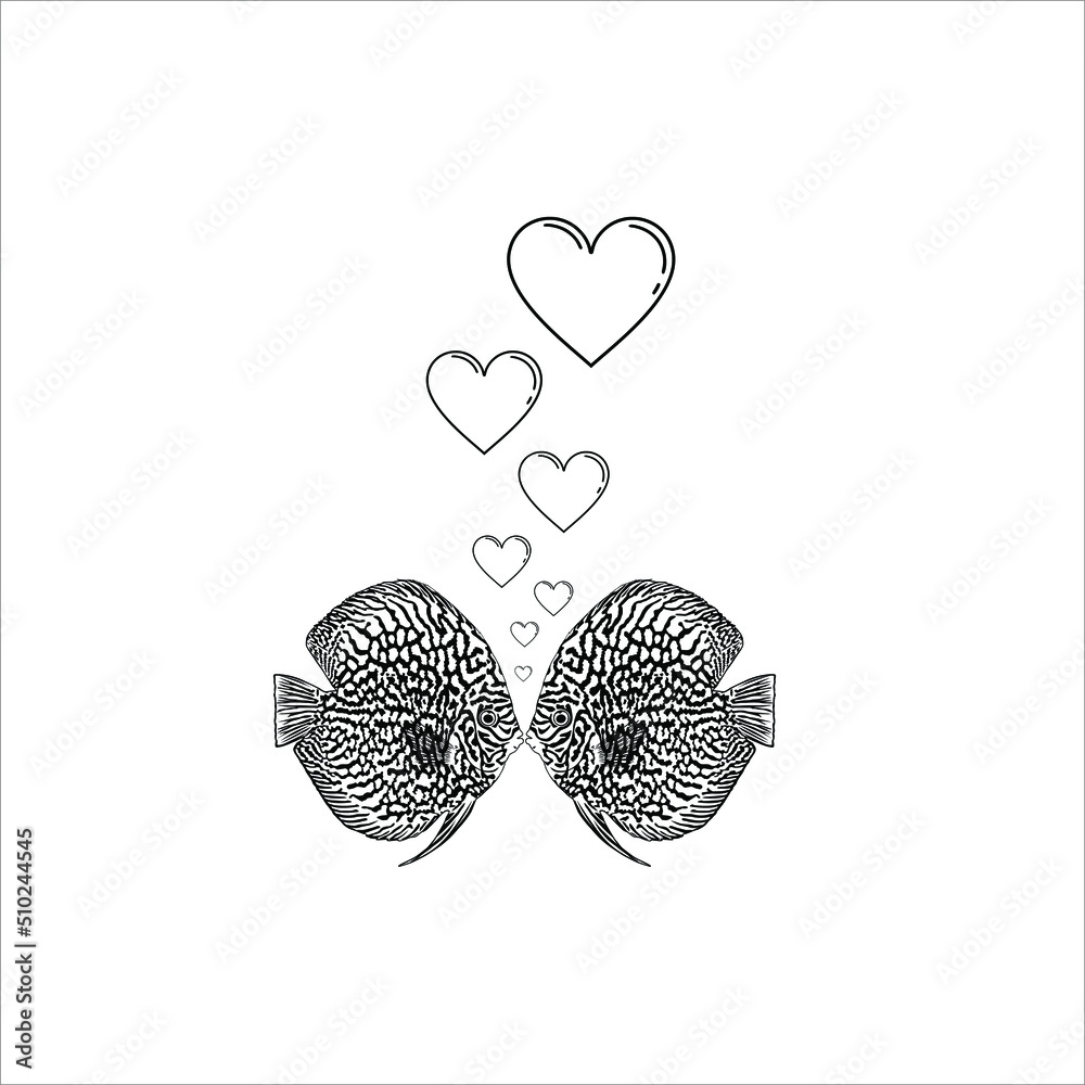 Pair of the Symphysodon, colloquially known as Discus Fish, Silhouette ...