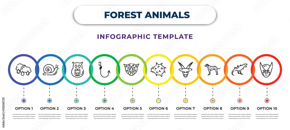 forest animals infographic design template with raindrop, winkle ...