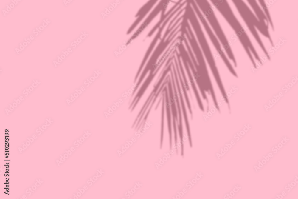 Plant shadow overlay background leaves tropical branches, Shadow ...