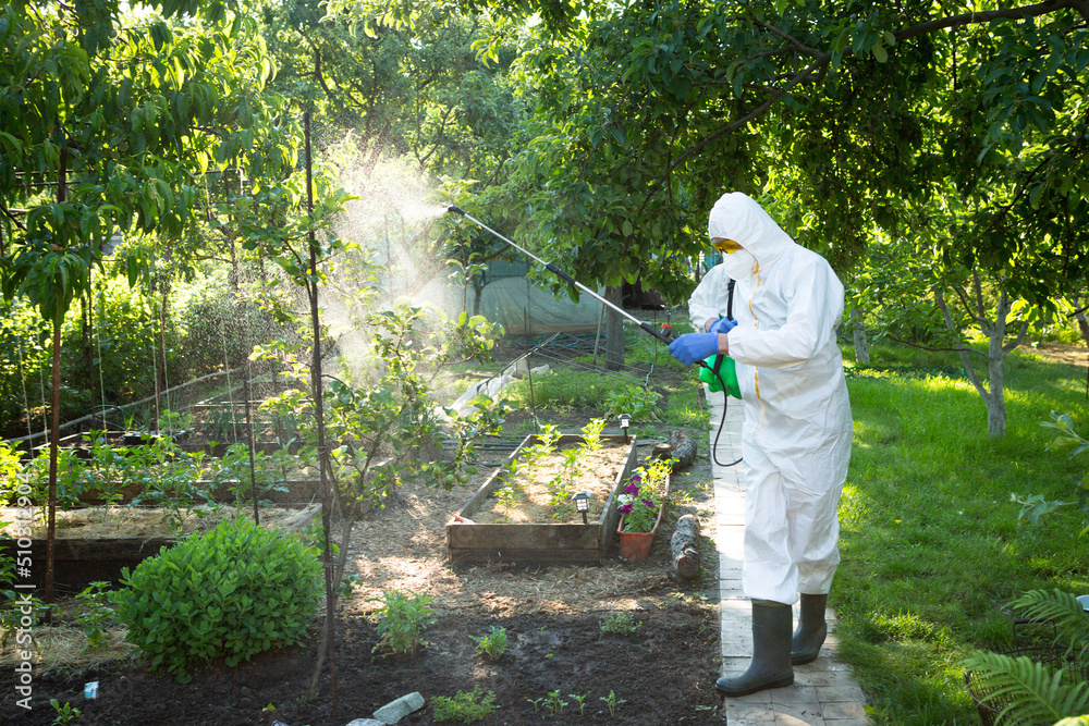 The process of treating plants with pesticides. Farmer in protective ...