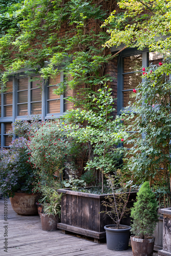 Landscaping of urban public spaces with different potted plants and ...