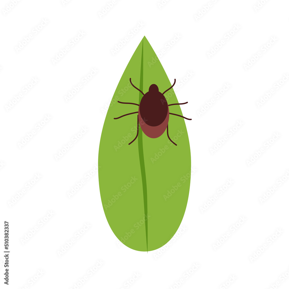 Mite on the leaf. Flat vector illustration, mite hiding in the grass ...