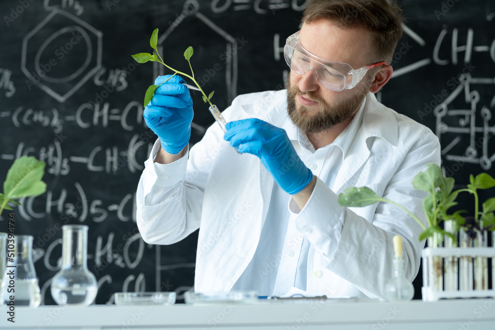 Biologist conducts experiments in a laboratory by synthesising ...