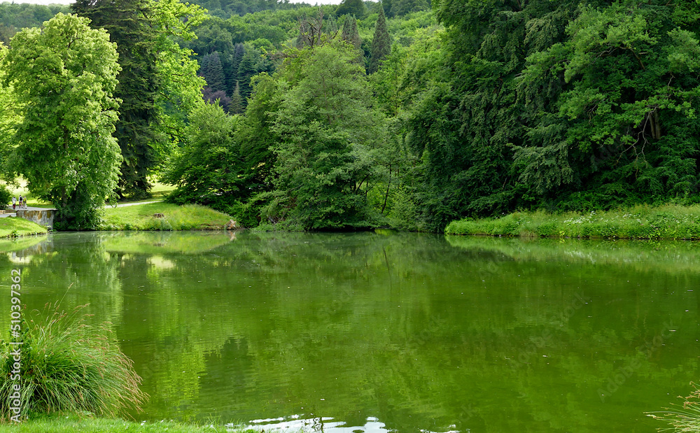 pond in the park Stock Photo | Adobe Stock