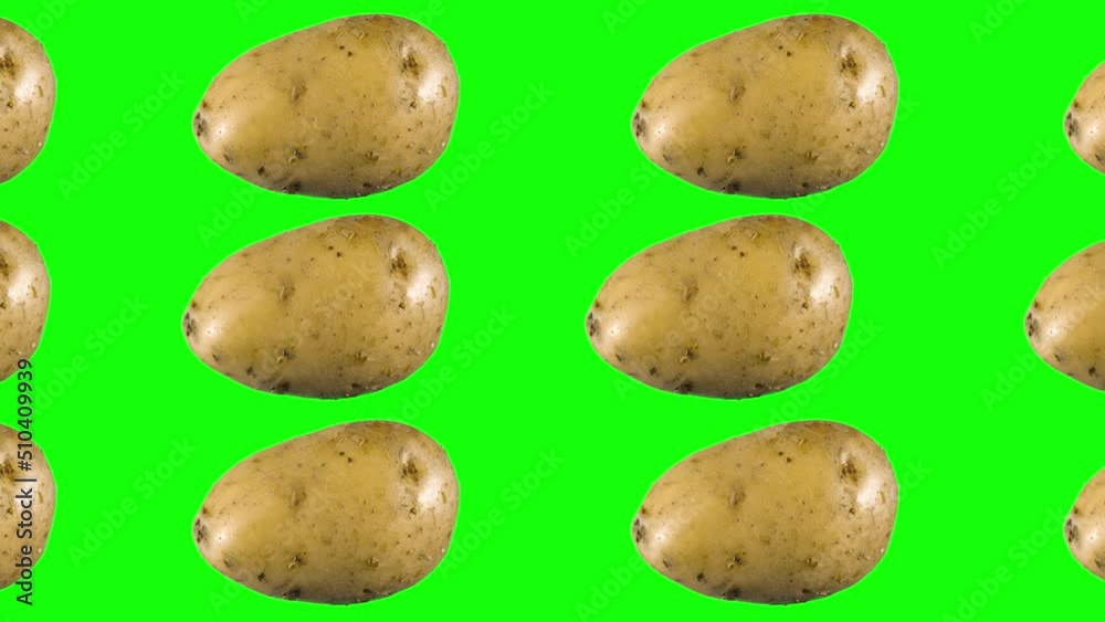 Three rows of yellow potatoes are spinning against a green background ...
