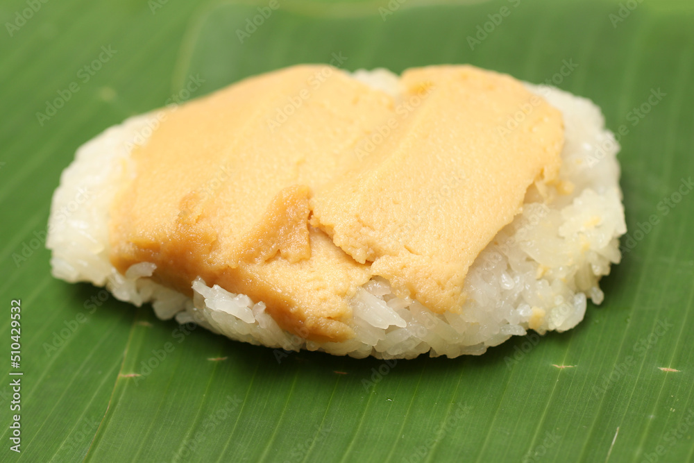 khao Neeo Sangkaya, Sticky rice with Thai custard or steamed custard on ...