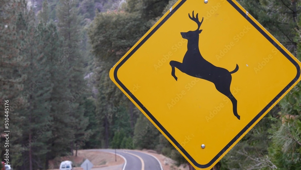 Deer crossing warning yellow sign, California USA. Wild animals xing ...