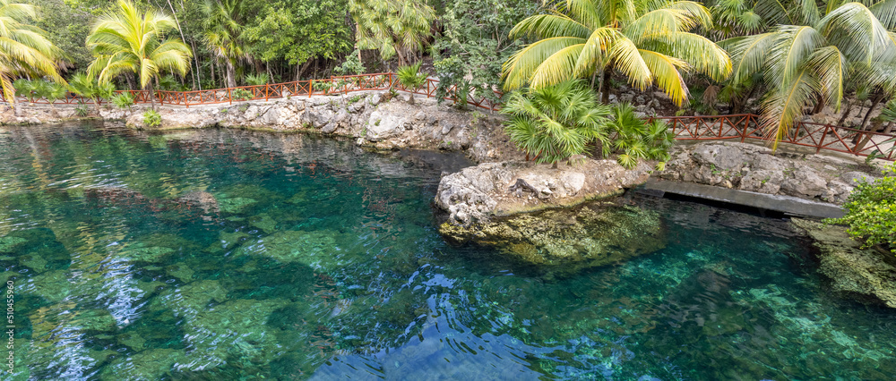 Mexico tourism destination, caves and pools of Cenote Casa Tortuga near ...
