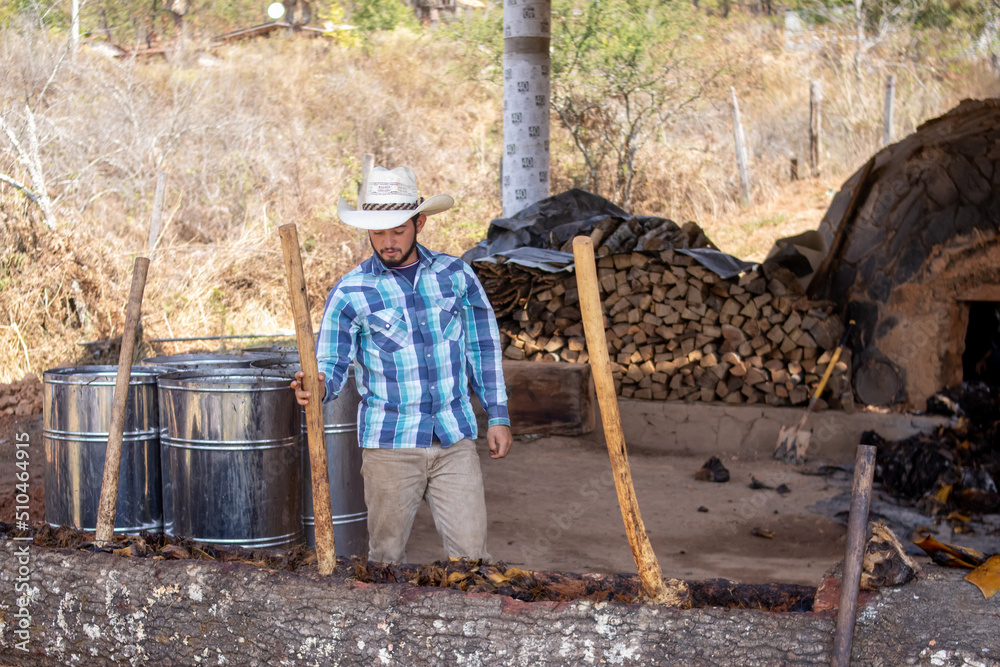 proceso de fabricacion de la raicilla a base de agave maximiliana en ...