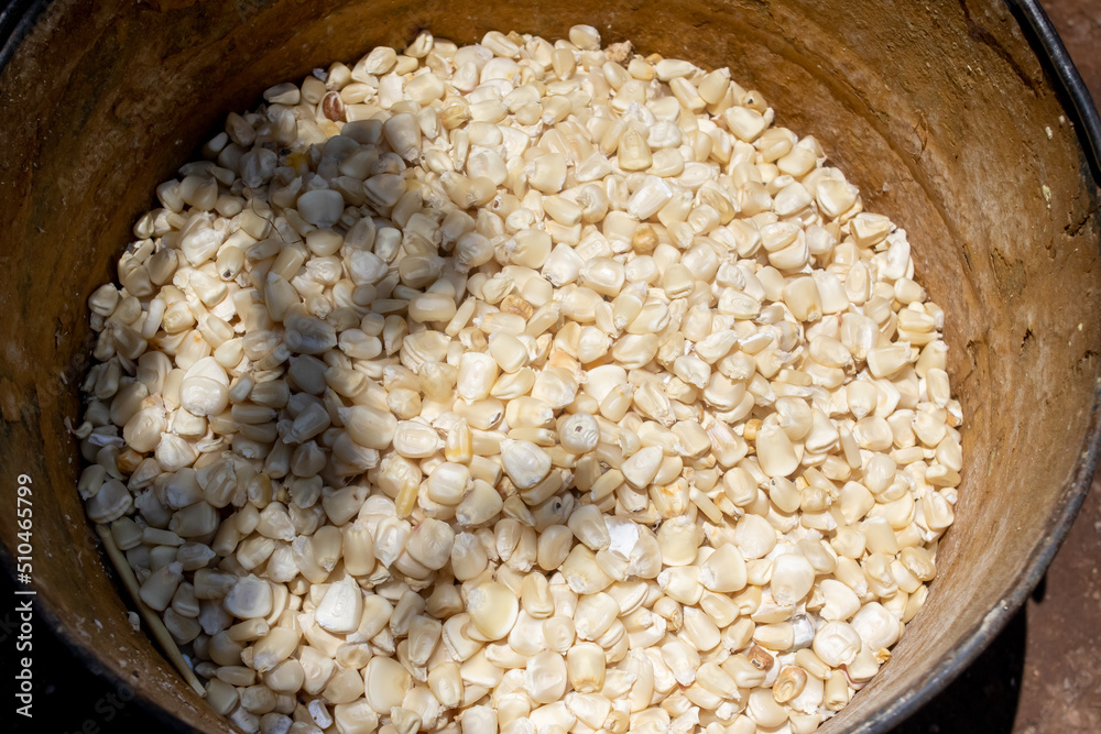 preparacion de nixtamal de maiz, para la elaboracion de tortillas ...