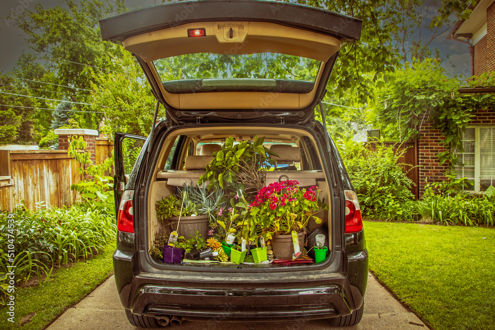 Home before the storm - Black hatchback vehicle with rear hatch up ...