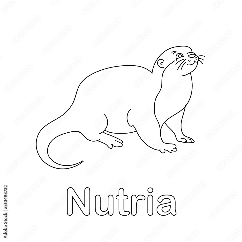 Nutria coloring page line art animal vector Stock Vector | Adobe Stock