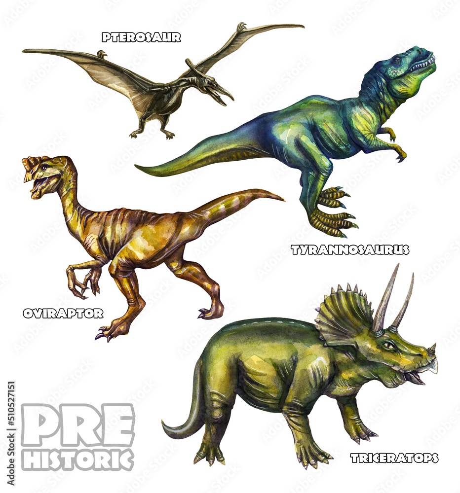 Dinosaurs come in many different types and classifications. Prehistoric ...