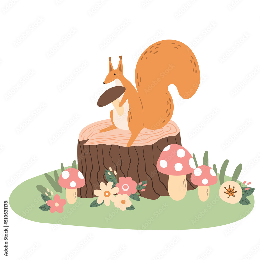 squirrel woodland animal illustration, forest vector clipart ...