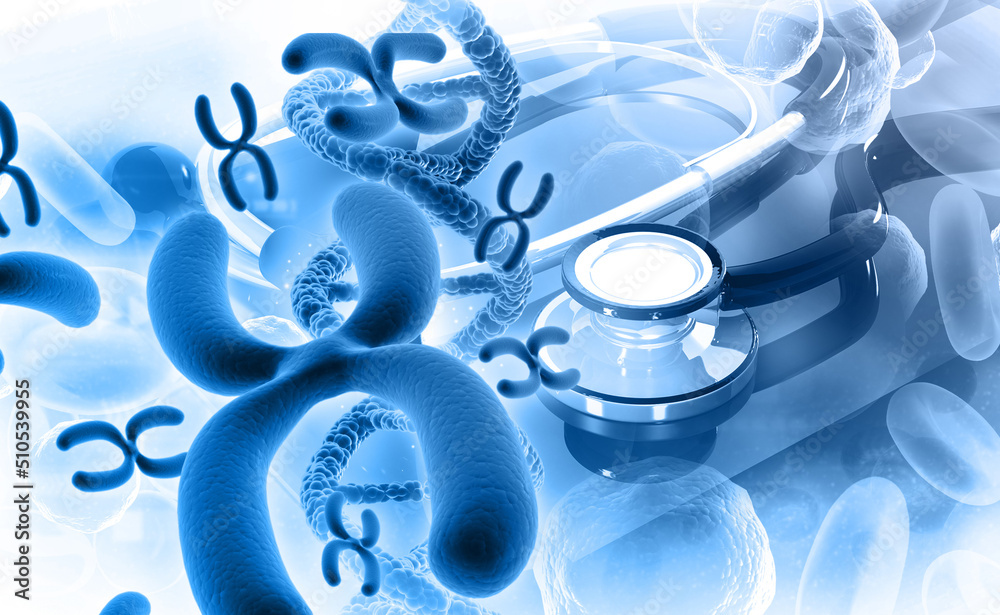 Chromosome structure with Stethoscope. genetic engineering study ...