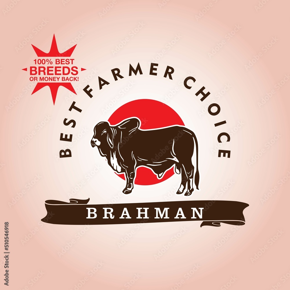brahman breeds bull logo, silhouette of great big bull standing, vector ...