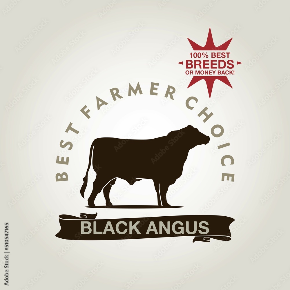 angus bull logo, silhouette of breed great cattle standing, vector ...