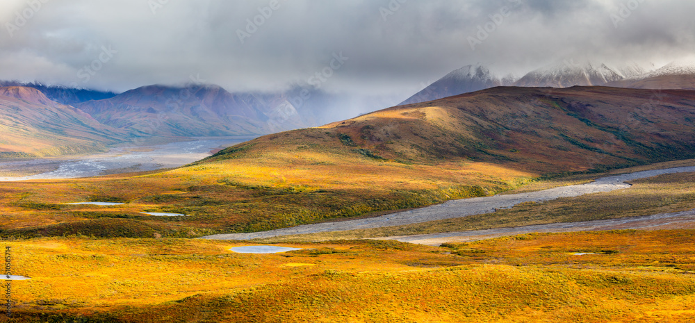 Tundra Landform