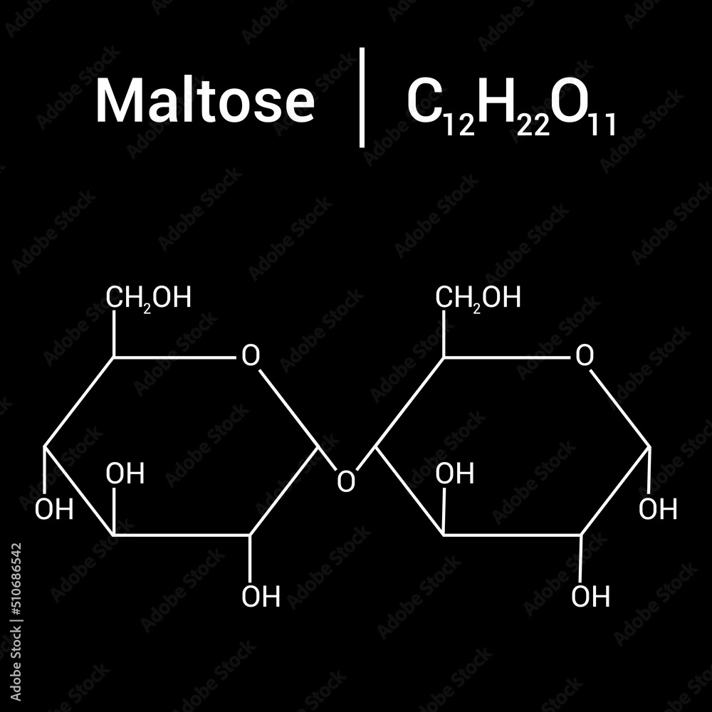 chemical structure of Maltose (C12H22O11) Stock Vector | Adobe Stock