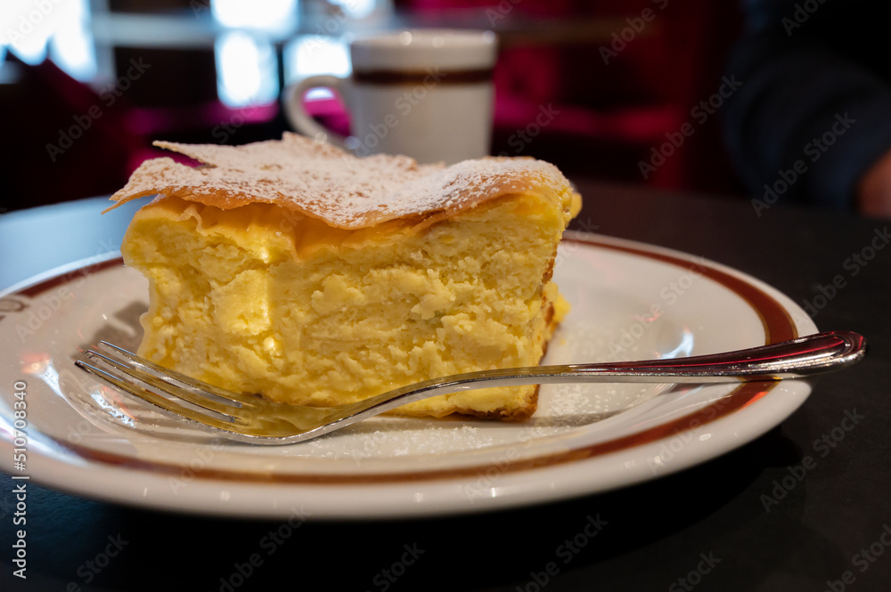 Austrian sweet dessert, filled with white cheese strudel served warm in ...