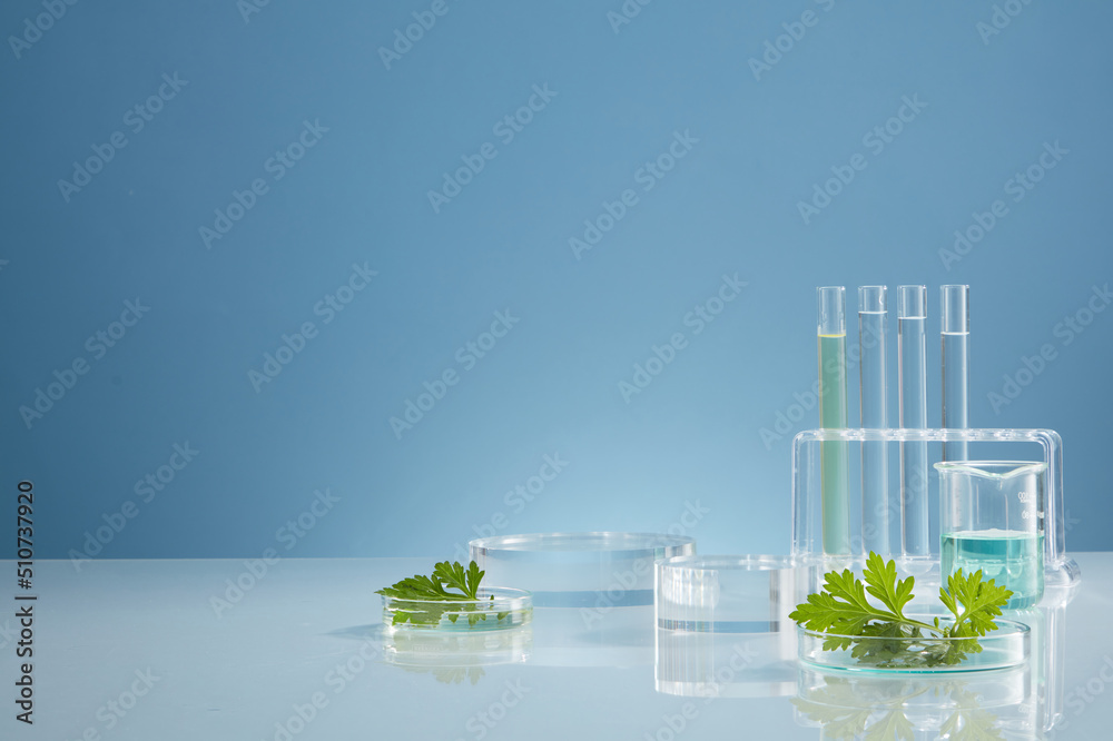 Front view of transparent podium with laboratory equipment and mugwort ...