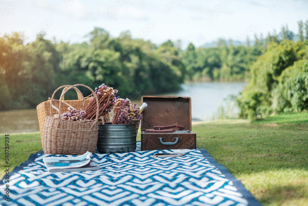 picnic set in the park near river, dried flowers, baskets wine bottle ...