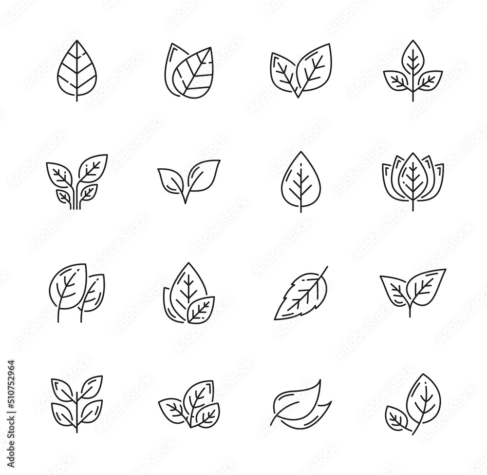 Linear leaf icons, tree plant or nature leaves vector outline symbols ...