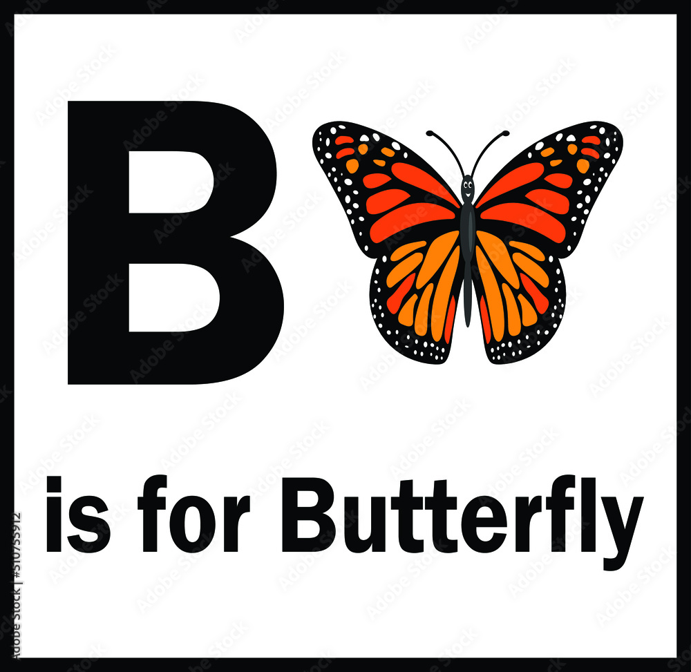 Alphabet B is for Butterfly vector image. alphabet flash card.. Stock ...
