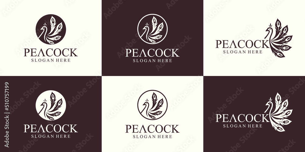 peacock line art logo in luxury style, vector Peacock Logo design ...