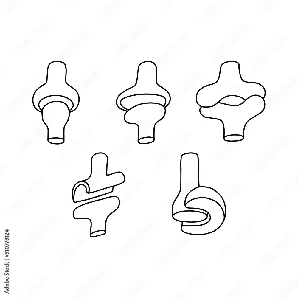 Vektorová grafika „Classification of human joints. Ball, Elliptical ...