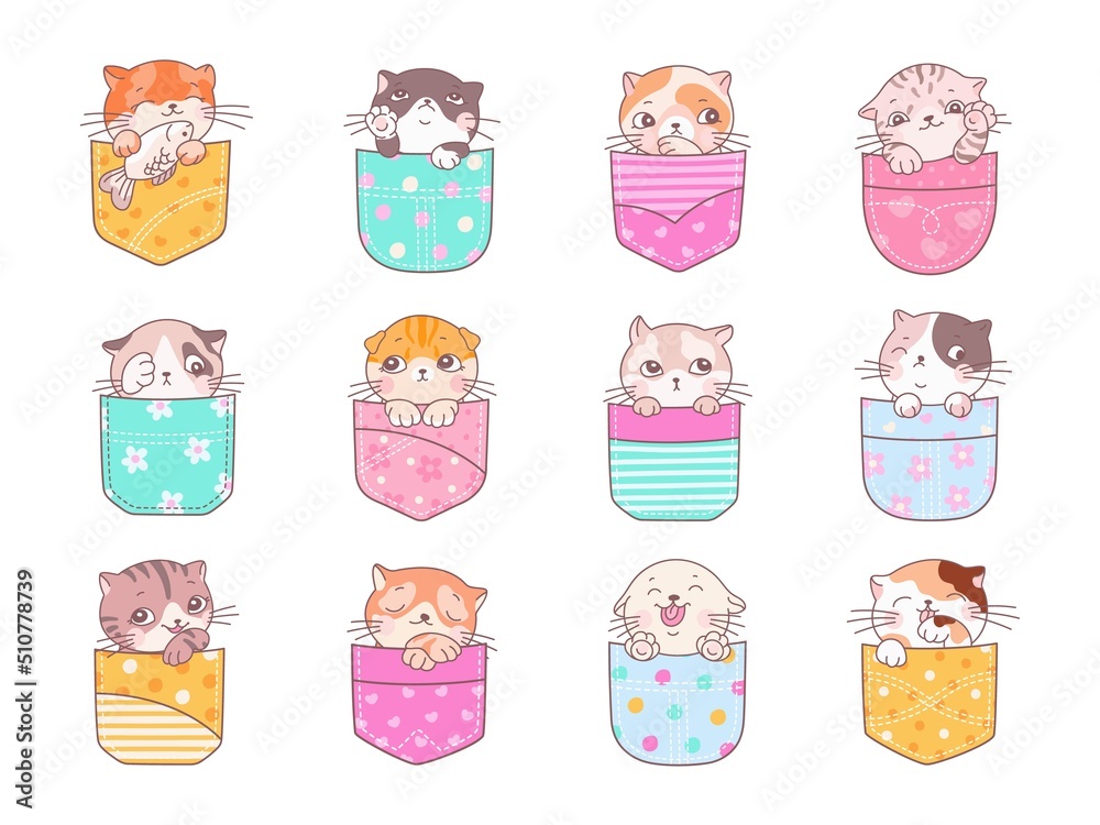 Kittens in pockets. Kawaii pocket kitten, happy cute little cat t-shirt ...